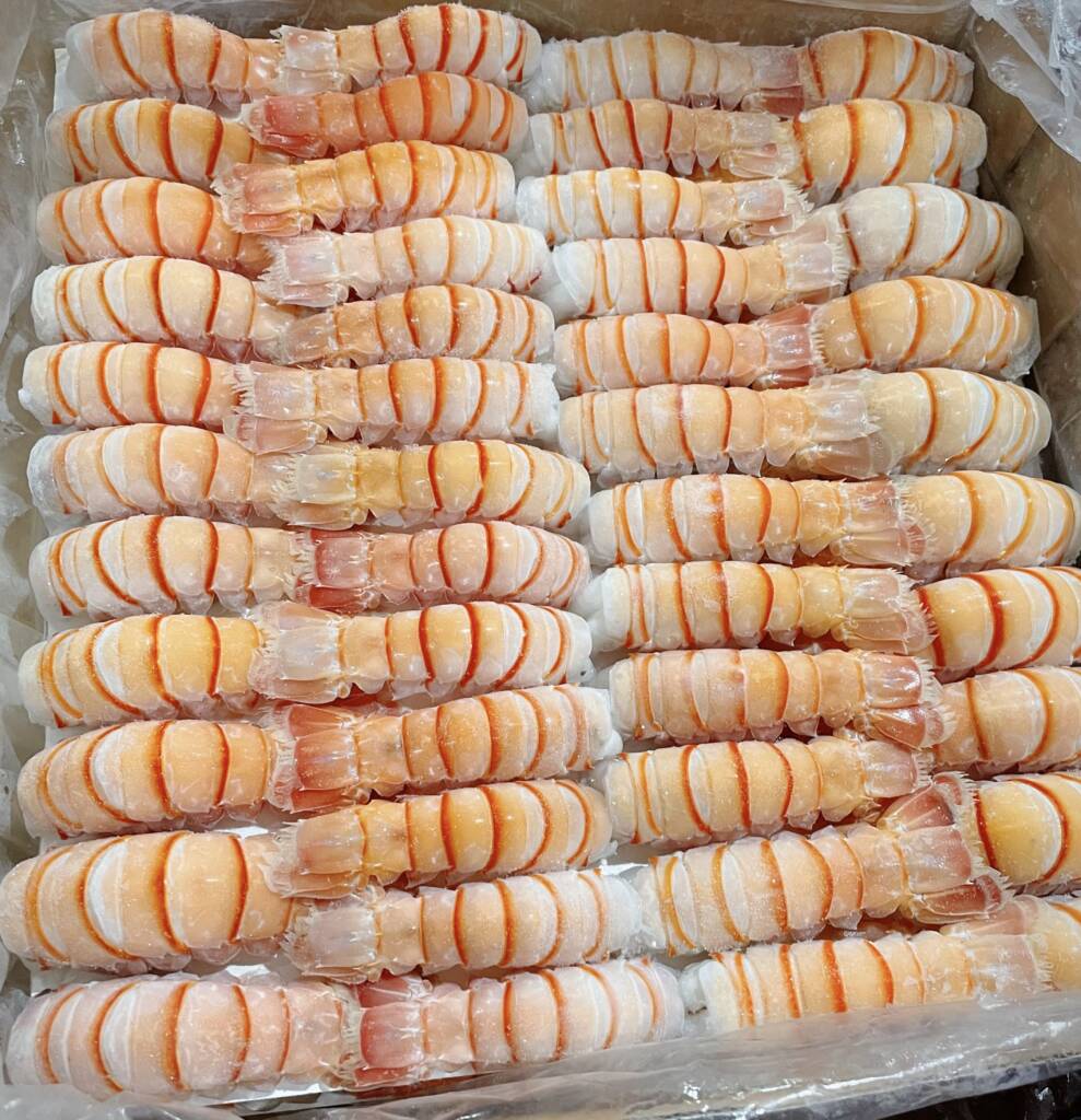 Frozen Scampi Tails – Silver Spoon Seafoods