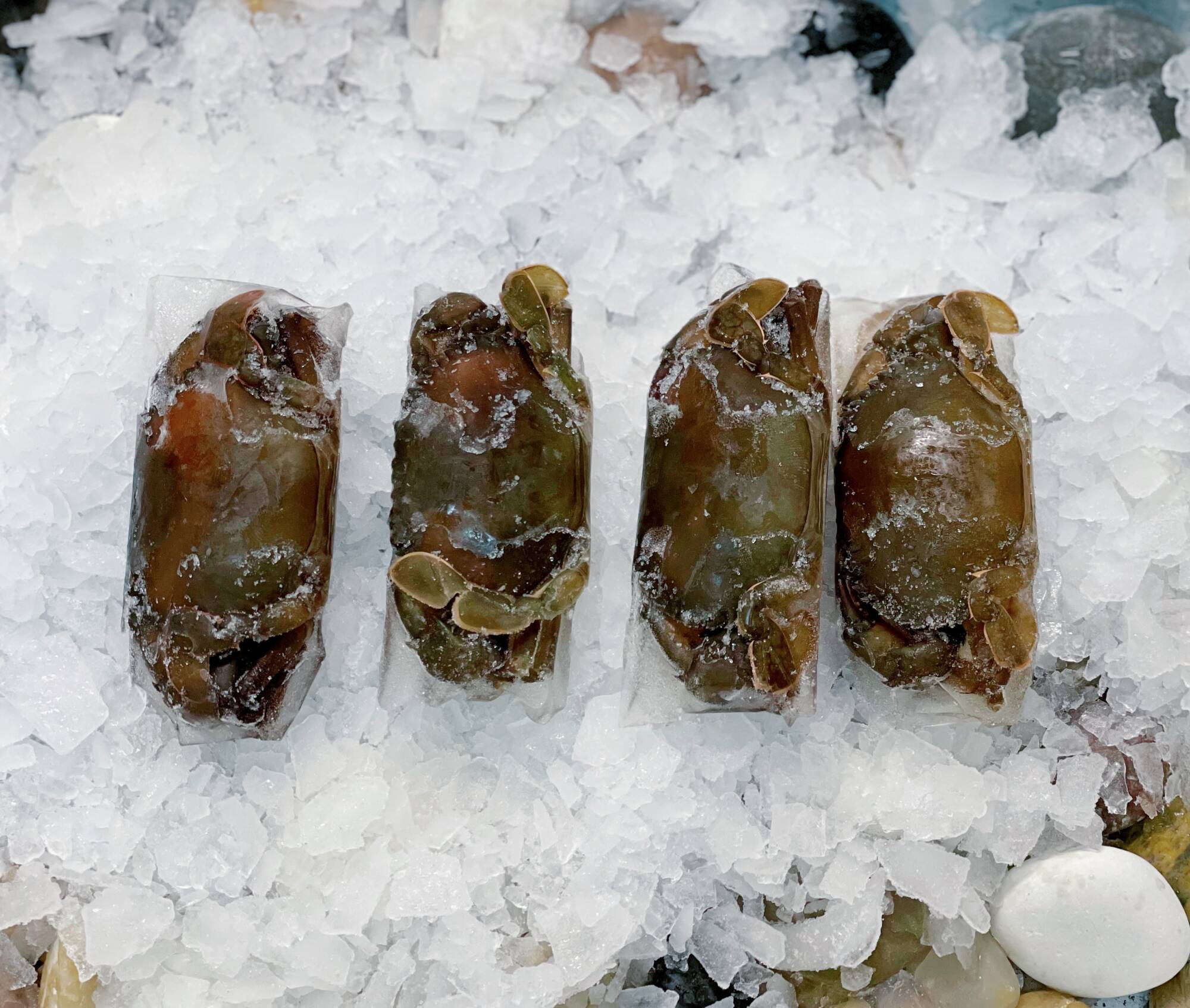 Frozen Raw Soft Shell Crab (80/100) – Silver Spoon Seafoods